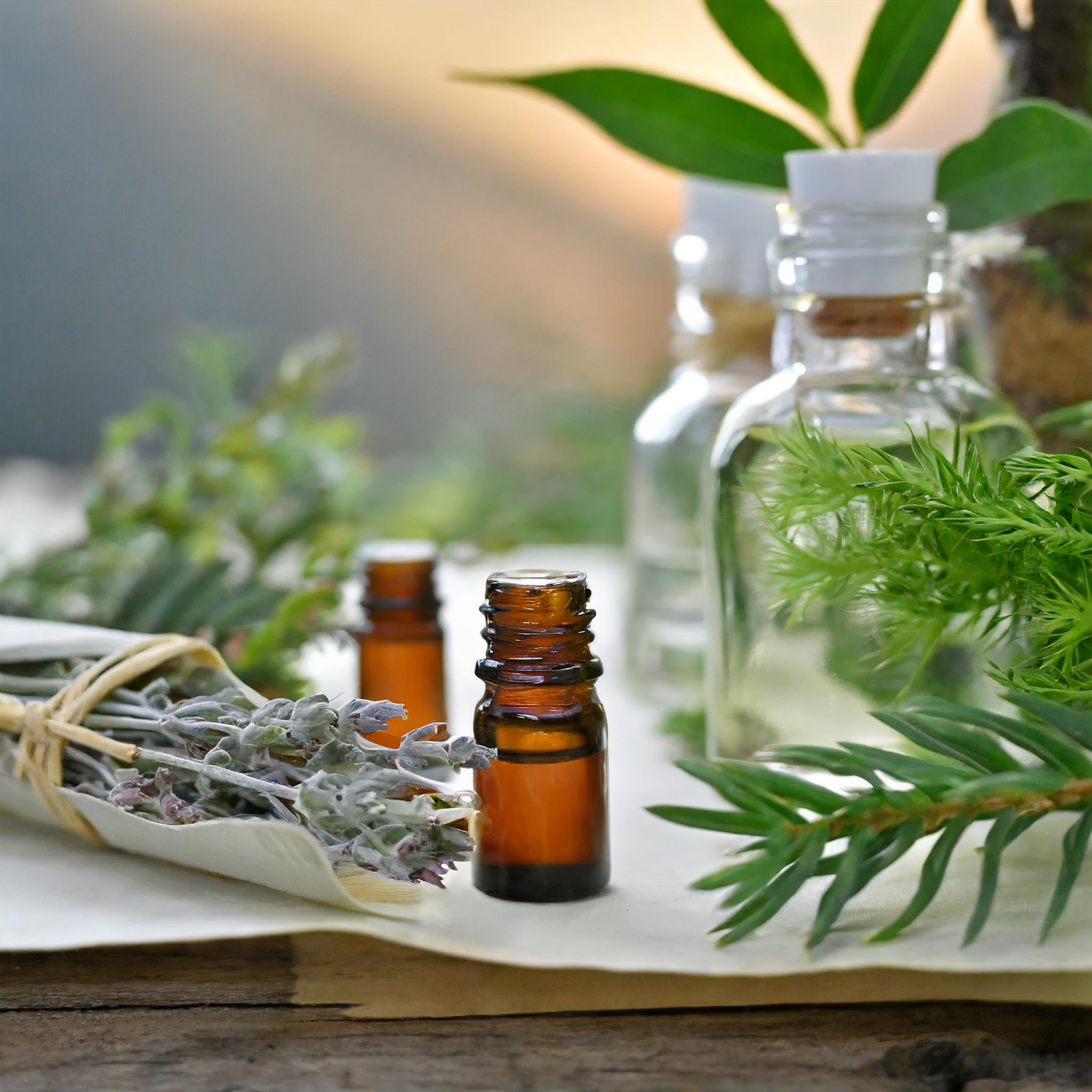 Essential oils – TNEOEOD Ooty