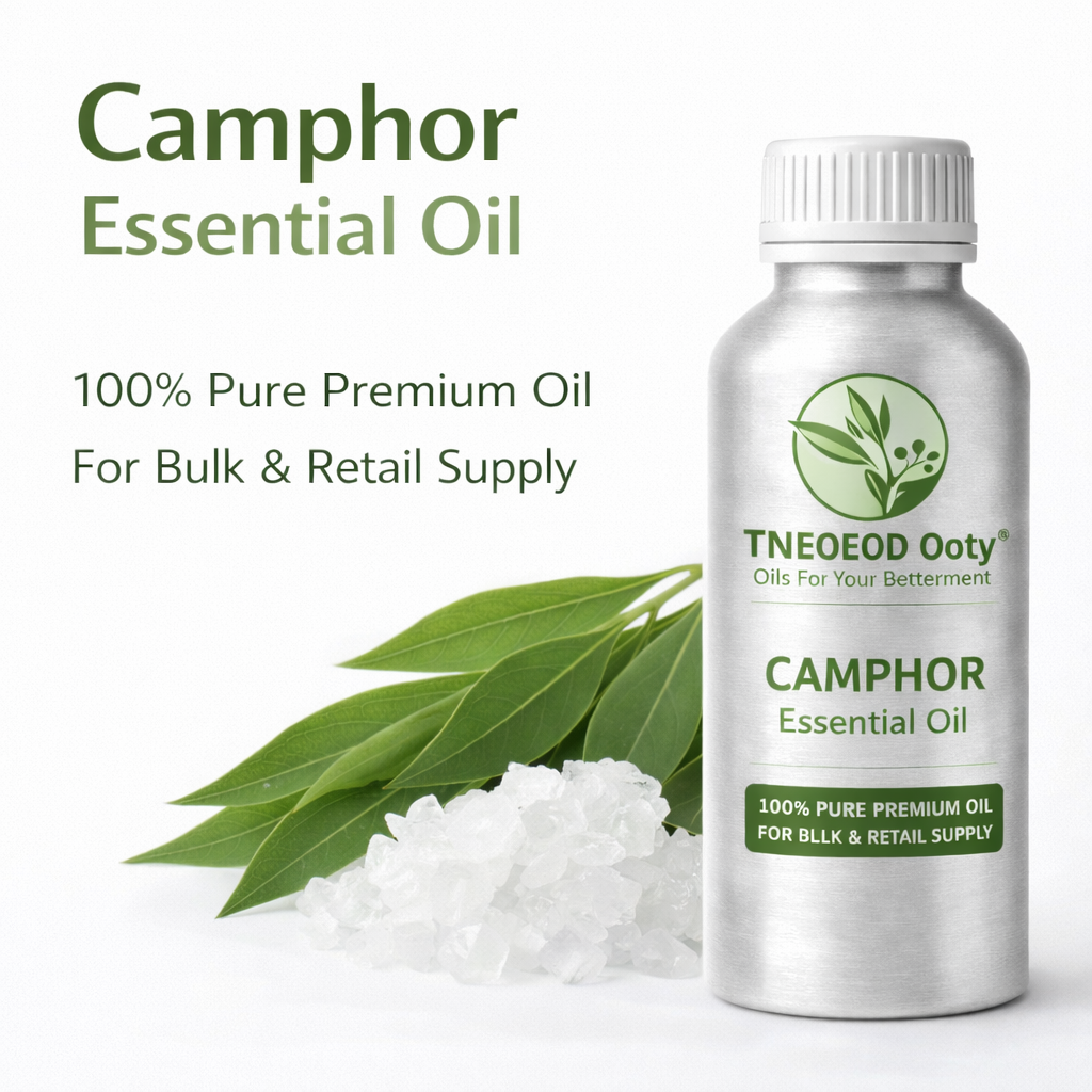 Camphor Essential Oil - 100% Pure | Steam Distilled | Cold Relief, Pain ...
